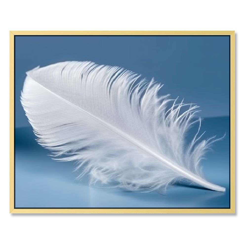 Chilfamy Framed Wall Art Ready to Hang Floating feather Canvas Print ...
