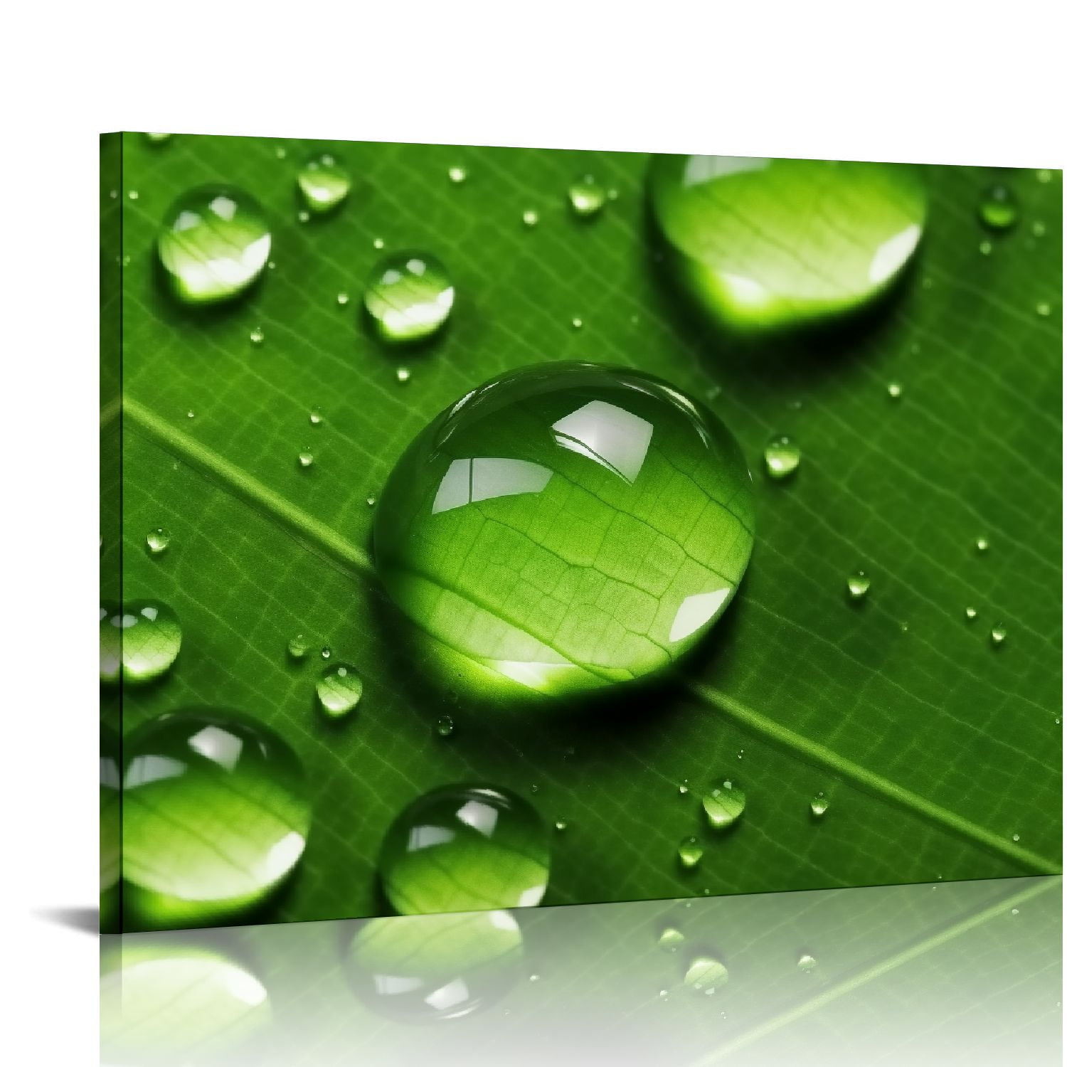 Chilfamy Green Leaf and Water Droplets Canvas Wall Art Decor, Modern ...