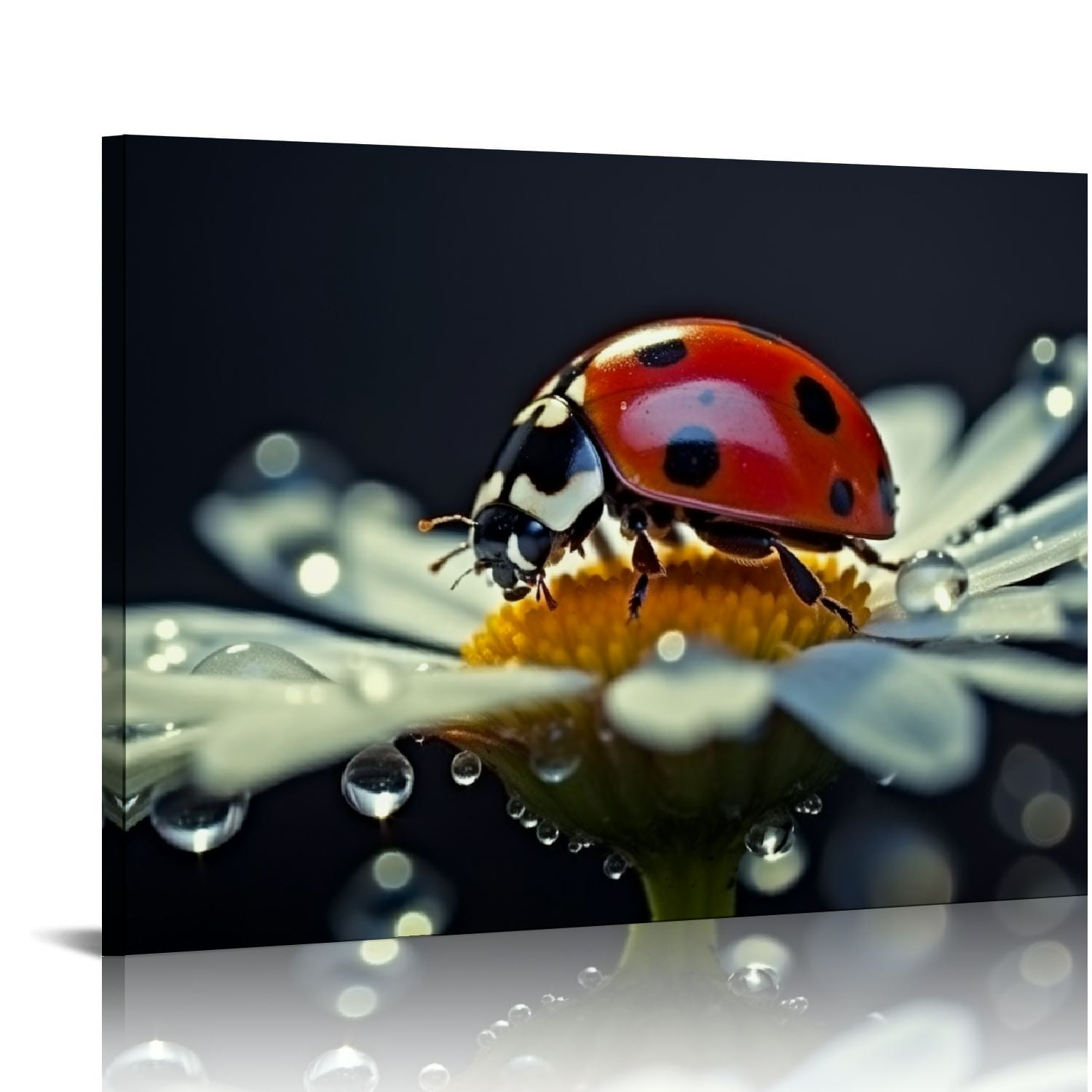 Chilfamy Ladybug Flower Water Droplets Canvas Wall Decor for Bathroom ...