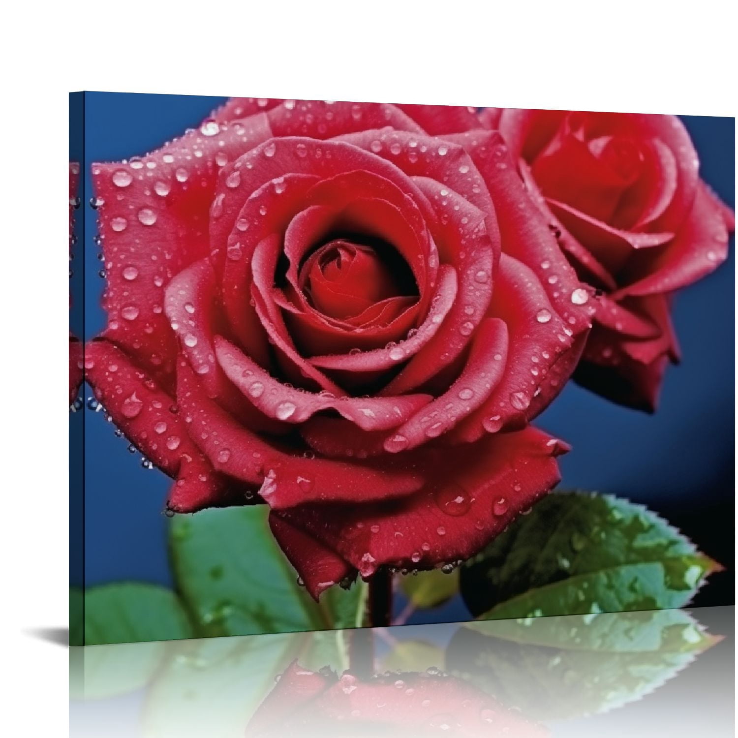 Chilfamy Rose Petals Water Droplets Wall Decor Canvas Prints Art for ...