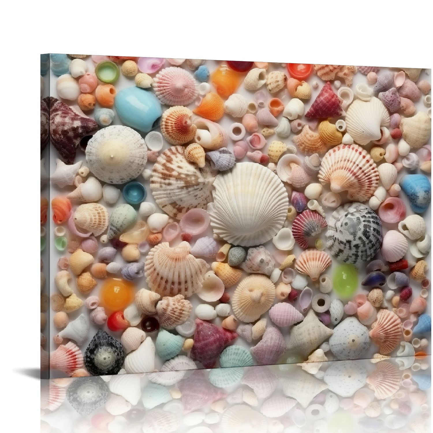 Chilfamy Sea Shells Canvas Wall Art Print On Canvas Ready To Hang Home ...