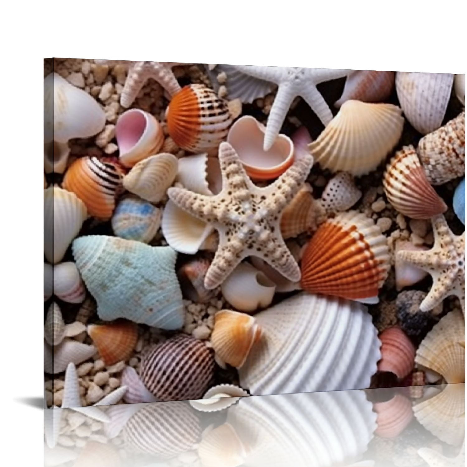 Chilfamy Sea Shells Starfish Beach Wall Decor Canvas Prints Art Ready ...
