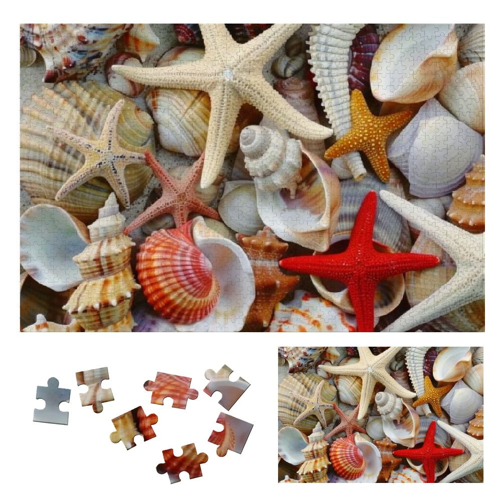 Chilfamy Seashell Treasures Jigsaw Puzzle, Modern Home Decor Ideal Gift ...