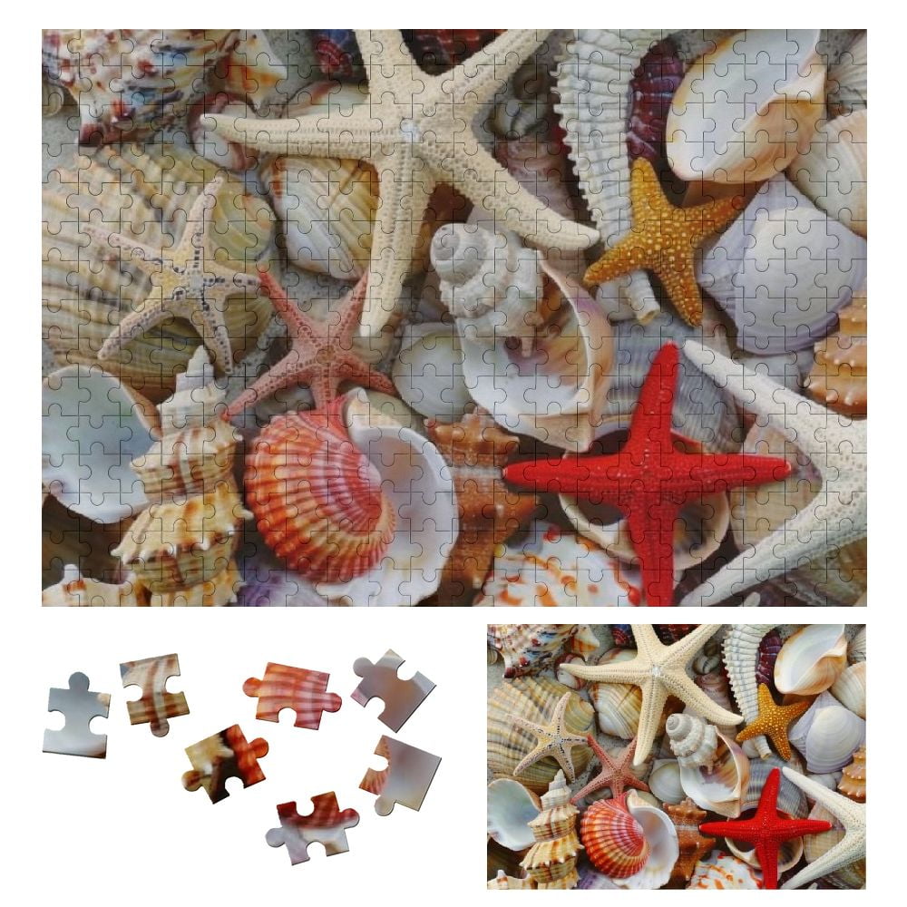 Chilfamy Seashell Treasures Jigsaw Puzzle, Modern Home Decor Ideal Gift ...