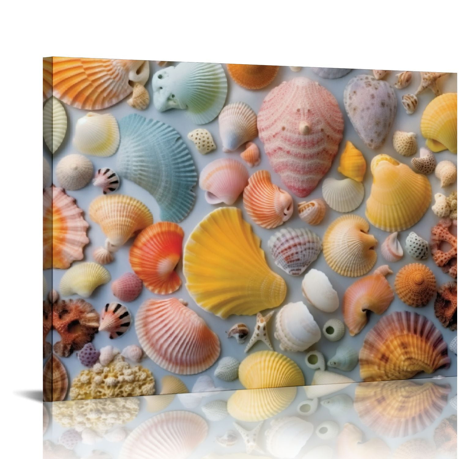 Chilfamy Shells Seashells Ocean Wall Art Print On Canvas Ready To Hang ...