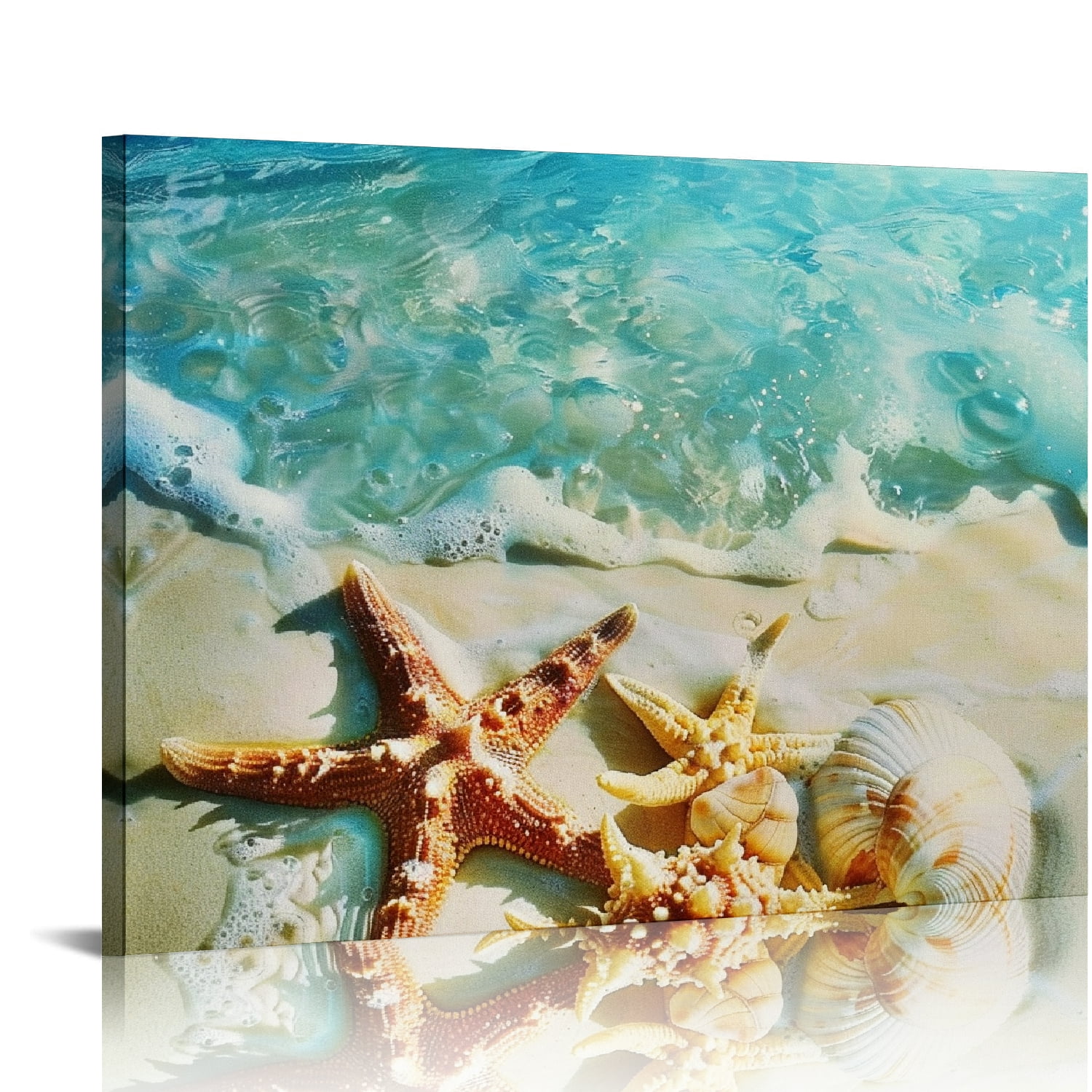 Chilfamy Starfish Shells Beach Art Canvas Prints Wall Decor 20x16in ...