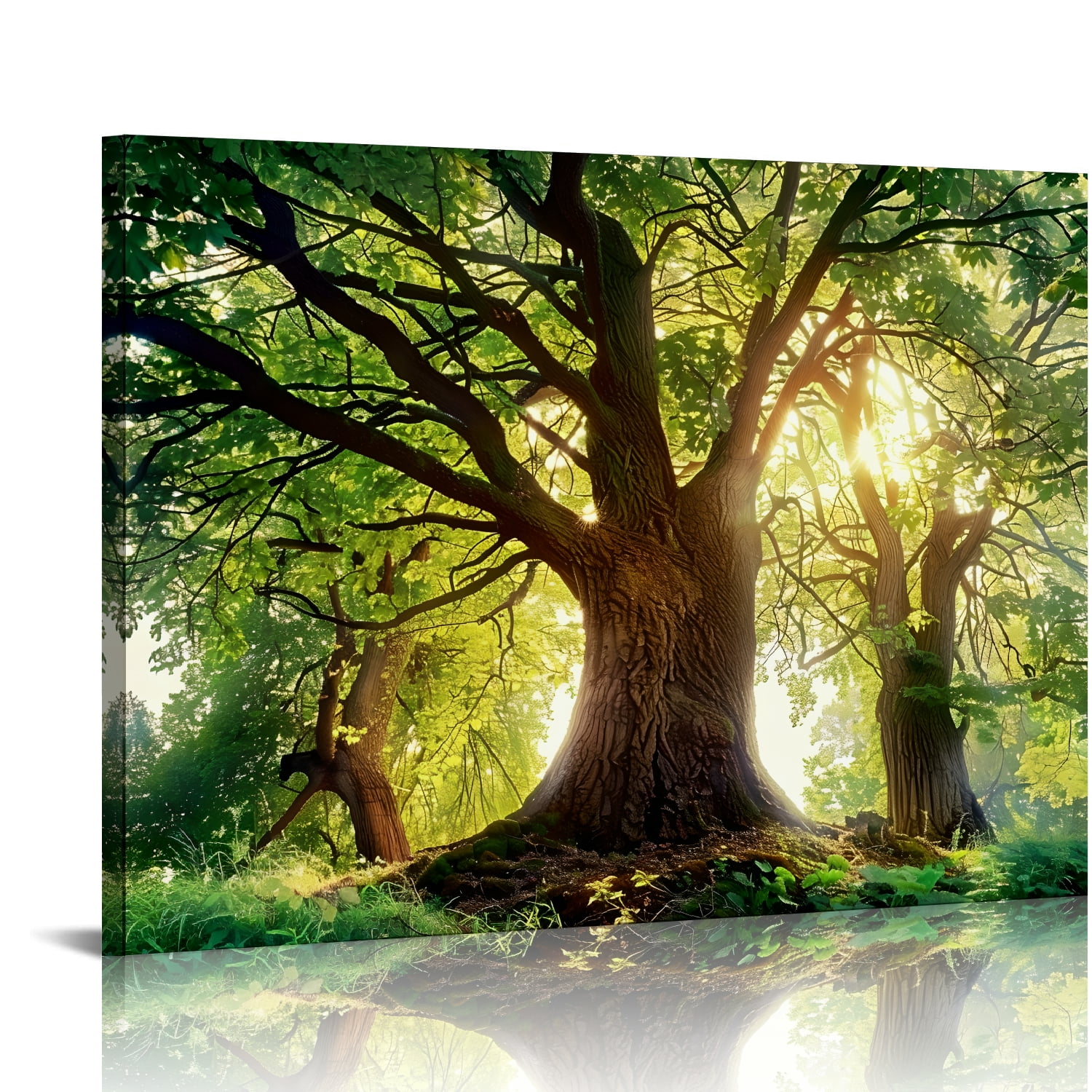 Chilfamy Sunlight Through Trees Canvas Wall Decor Art for Home Living ...