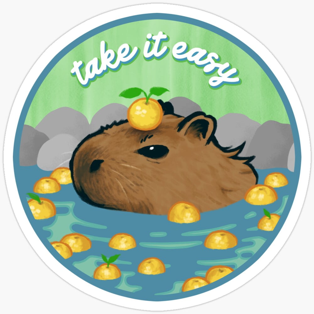 Chill Capybara Sticker Phone Decal Water Bottle Stickers Car Decals ...