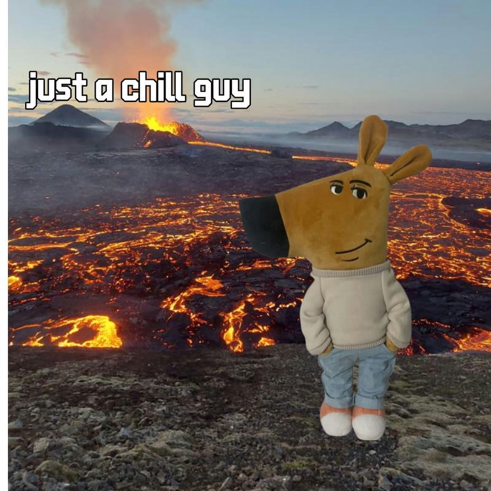 Chill Guy Plush Chill Guy Stuffed Animals, Ultra Soft and Adorable ...