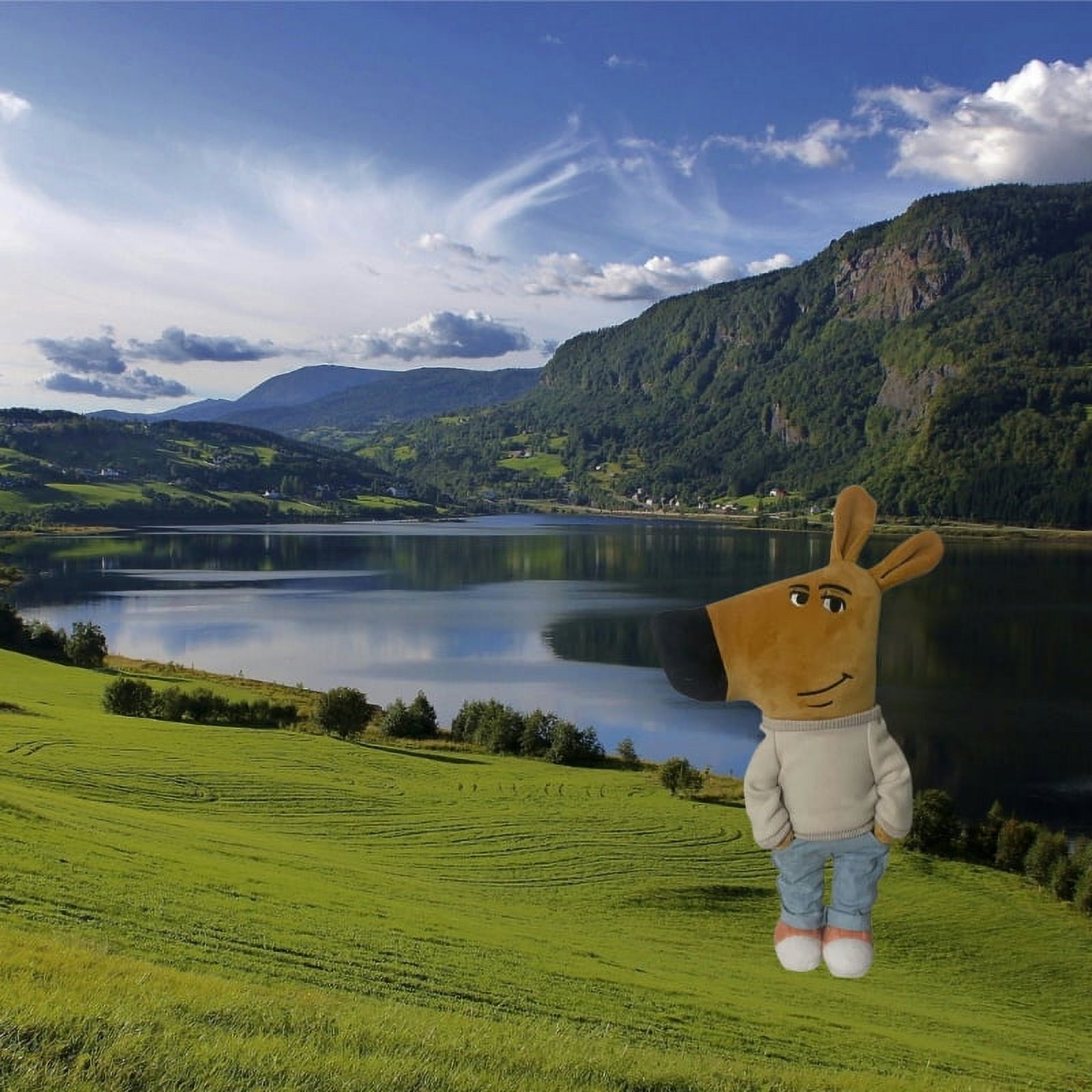 Chill Guy Stuffed Animals Chill Guy Stuffed Animals, with Their Ultra ...