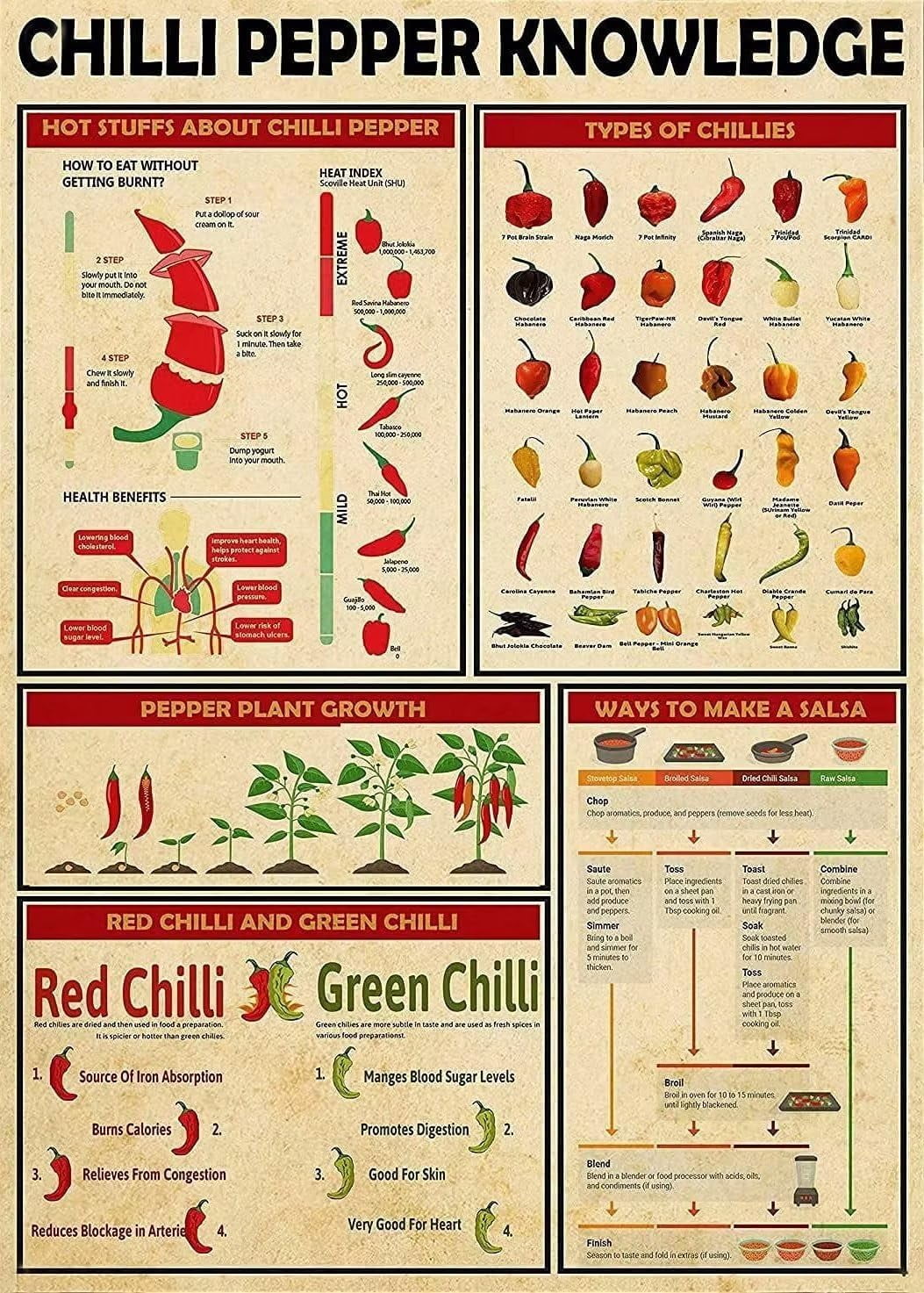 Chilli Pepper Knowledge 5D Diamond Painting Kits for Adults & Beginner ...