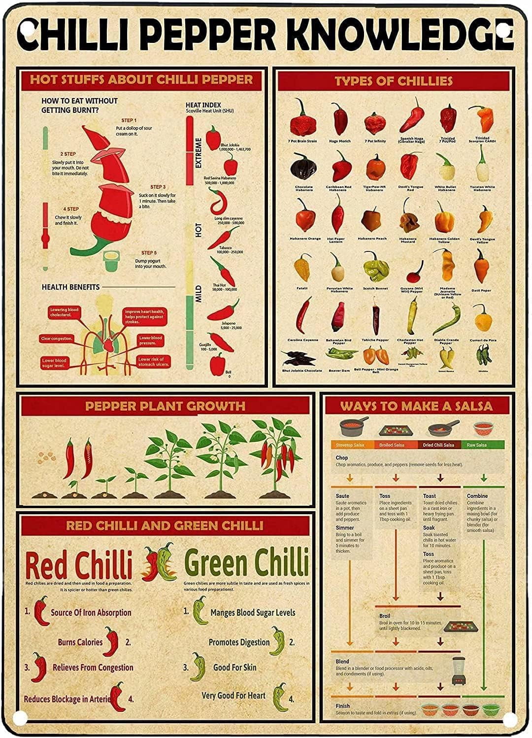 Chilli Pepper Knowledge Posters Science Guide Metal Signs Room Club ...