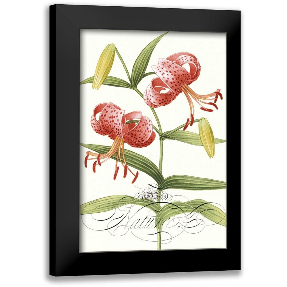 Chilton, Sarah E 11x14 Black Modern Framed Museum Art Print Titled ...