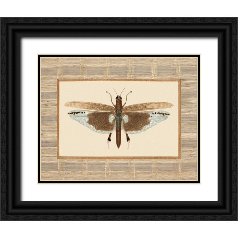 Chilton, Sarah E 14x12 Black Ornate Wood Framed with Double Matting ...