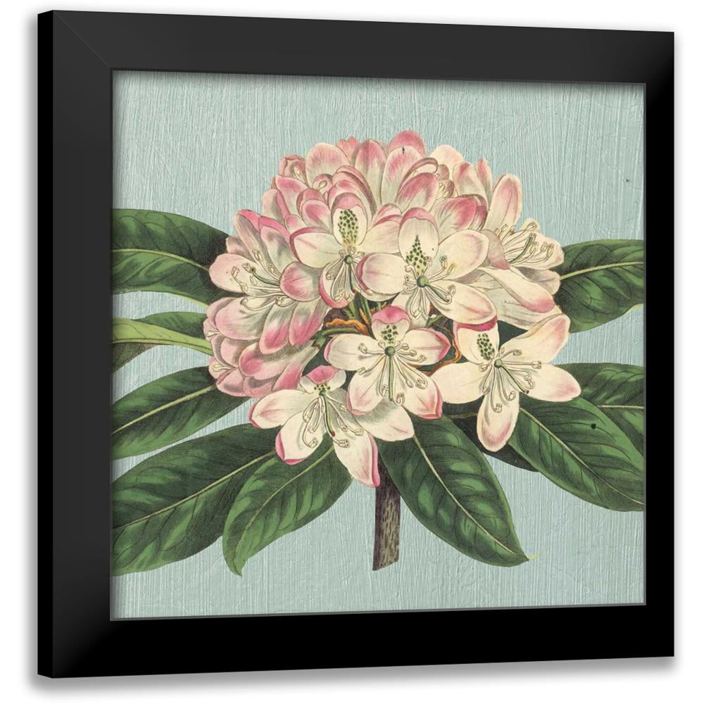 Chilton, Sarah E 20x20 Black Modern Framed Museum Art Print Titled ...