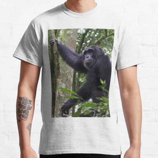 Chimpanzee In Kibaei Forest National Park Uganda Classic T-shirt ...