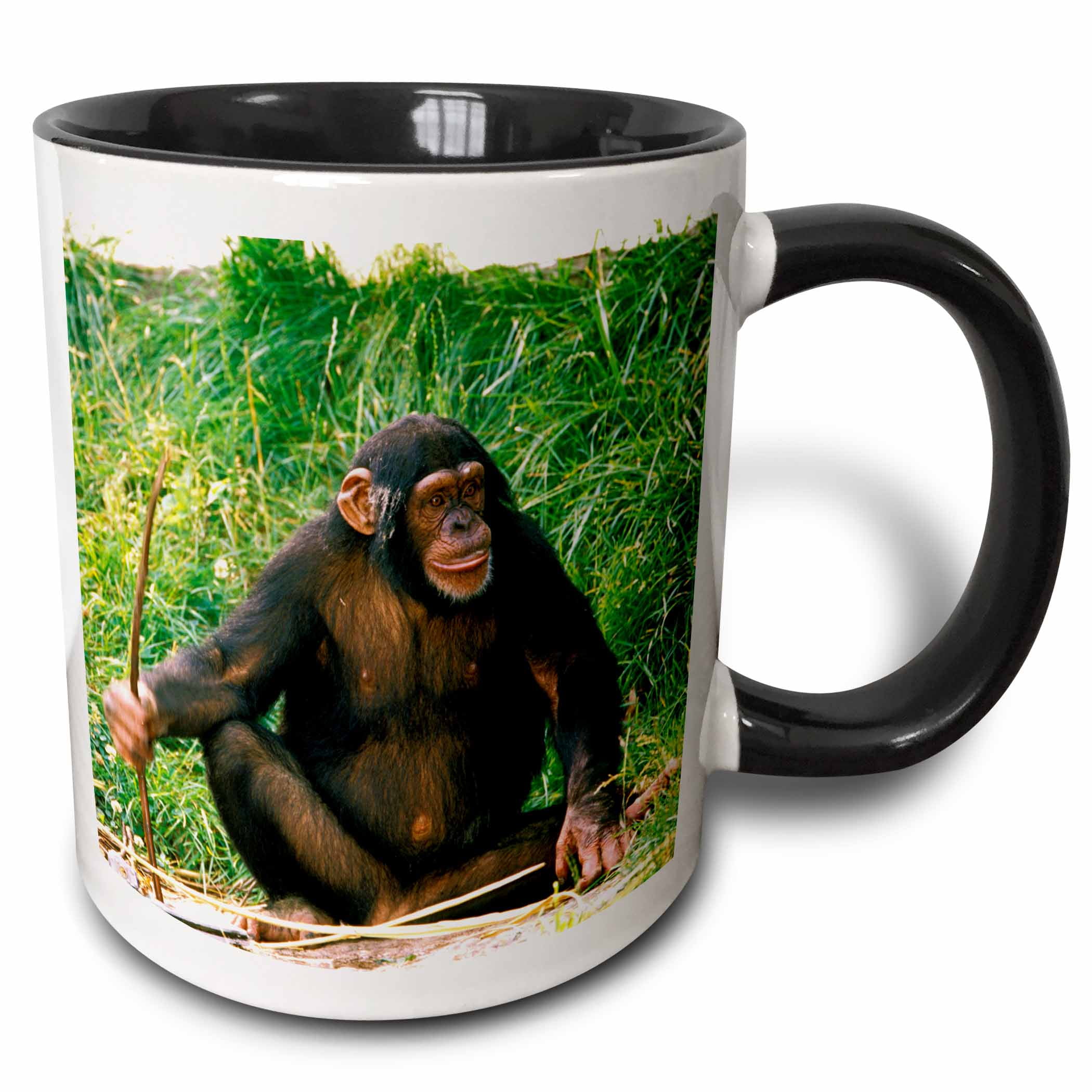 3drose, Chimpanzee Primate, Stick as Tool to Obtain a Reward - Na02 ...