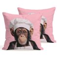 Chimpanzee Throw Pillow Covers 20 x 20 Inch Pillow Covers Set of 2 ...