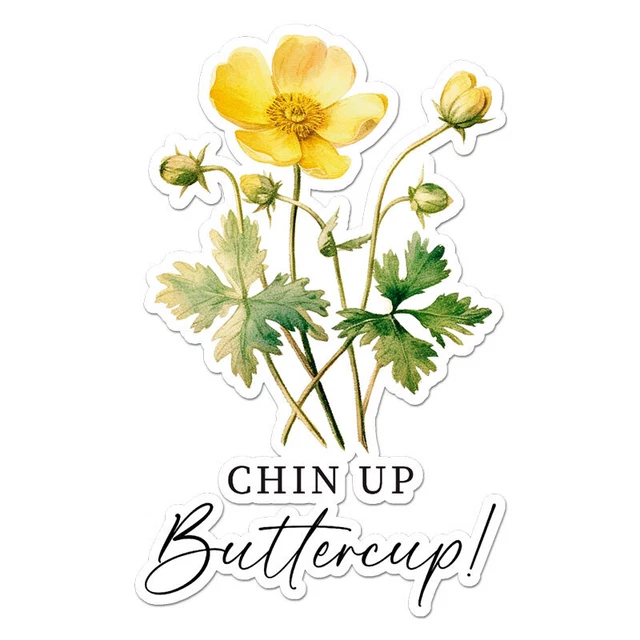 Chin Up Buttercup Sticker Indoor Outdoor Phone Decal Water Bottle ...