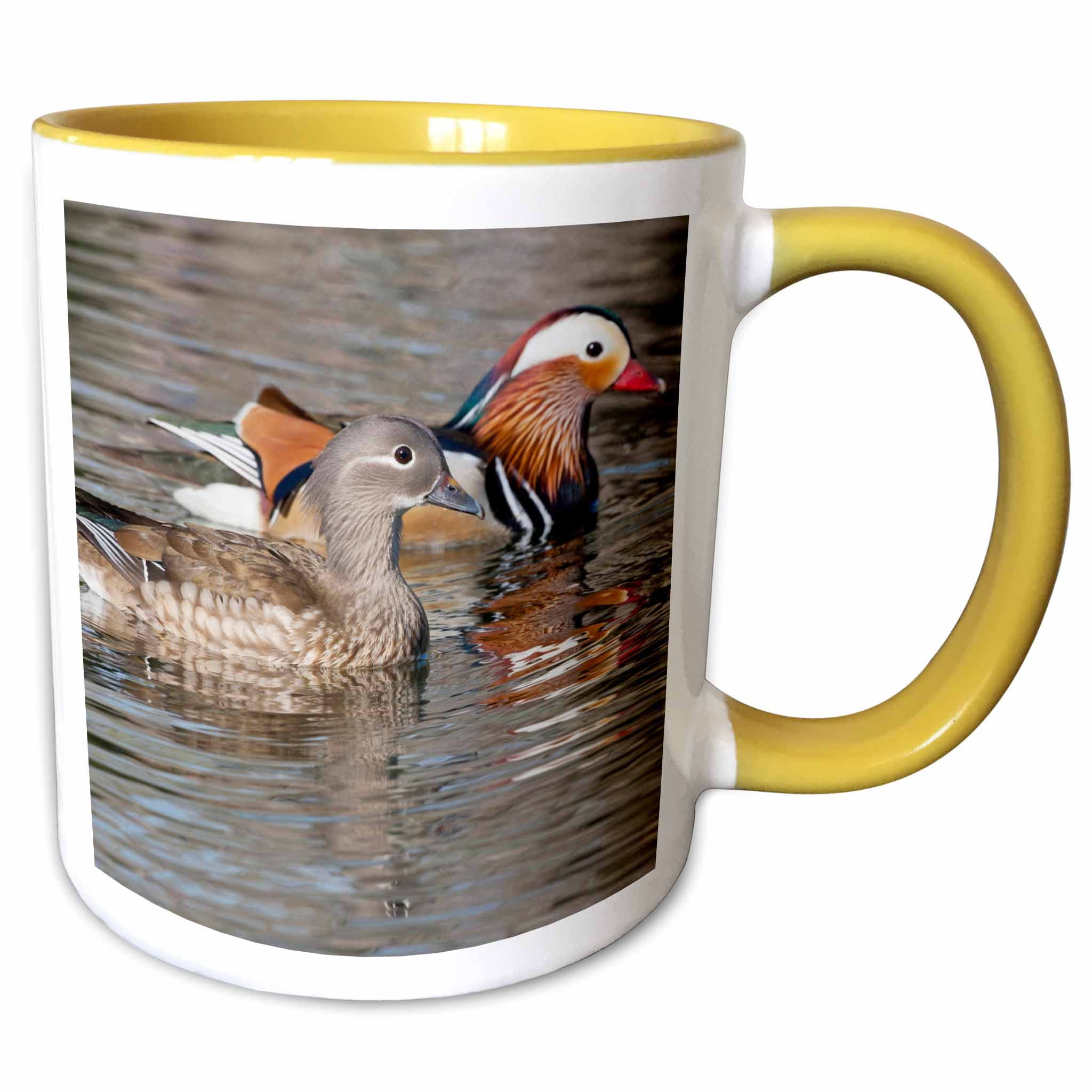 3drose, China, Beijing, Mating Mandarin Ducks on Lake - As07 Aga0017 ...