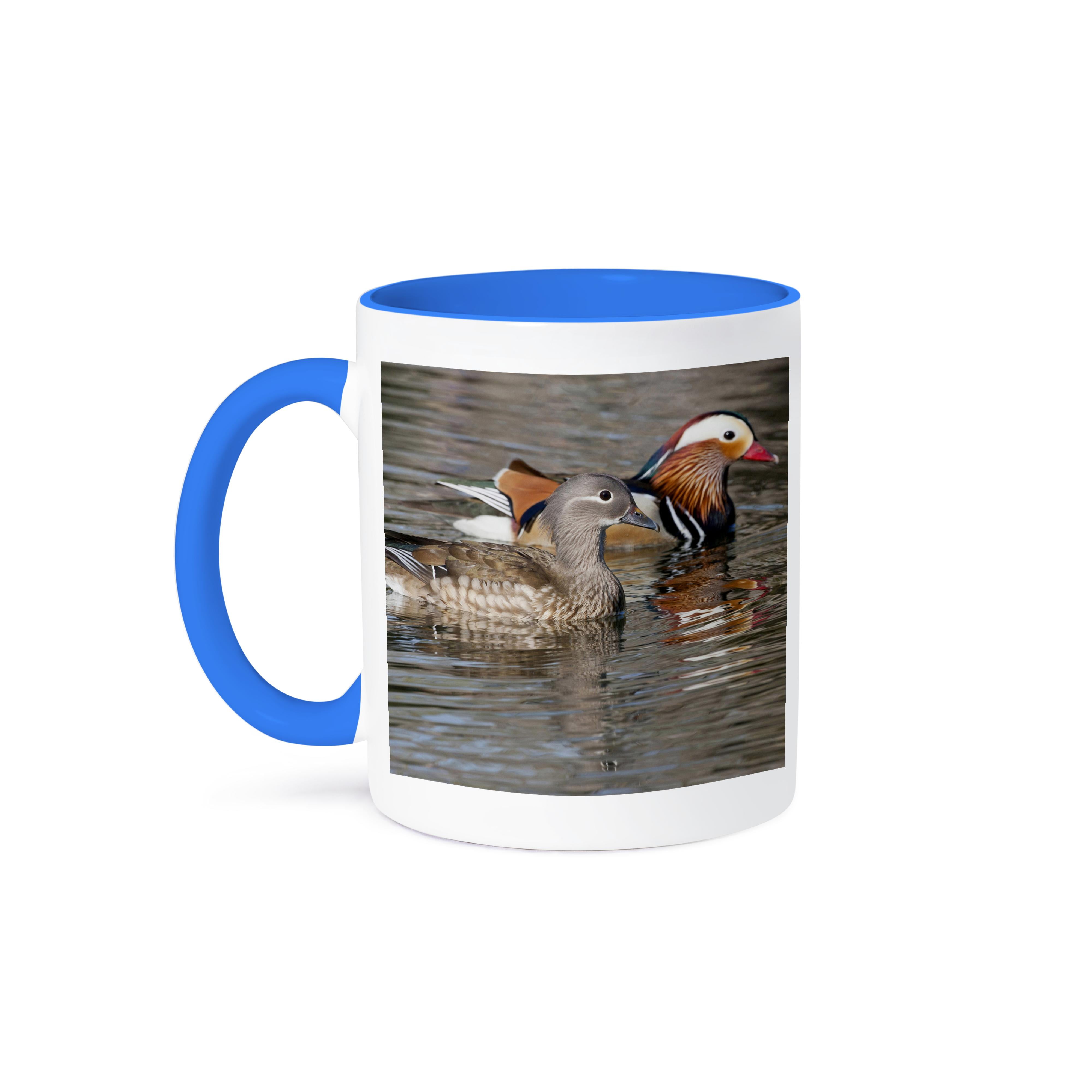 3dRose, China, Beijing, Mating Mandarin ducks on lake - AS07 AGA0017 - Alice Garland, 15oz Two ...