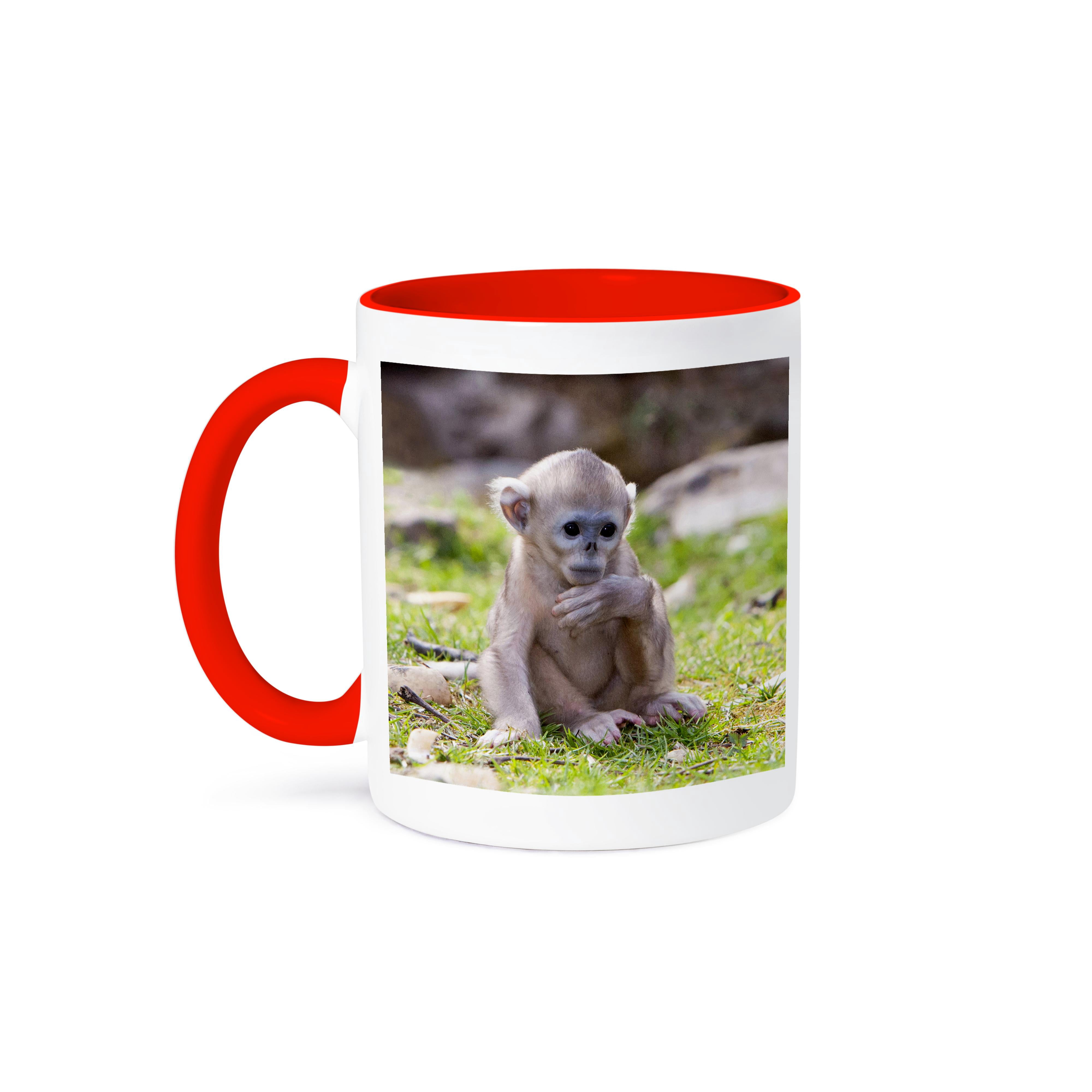China, Qinling Mountains, Baby Golden Monkey - As07 Aga0016 - Alice ...