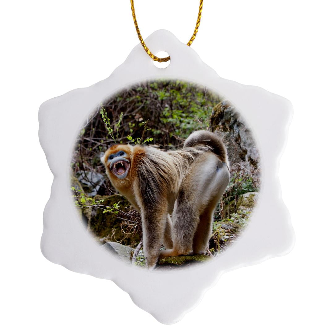 3drose, China, Qinling Mountains, Male Golden Monkey Teeth - As07 ...