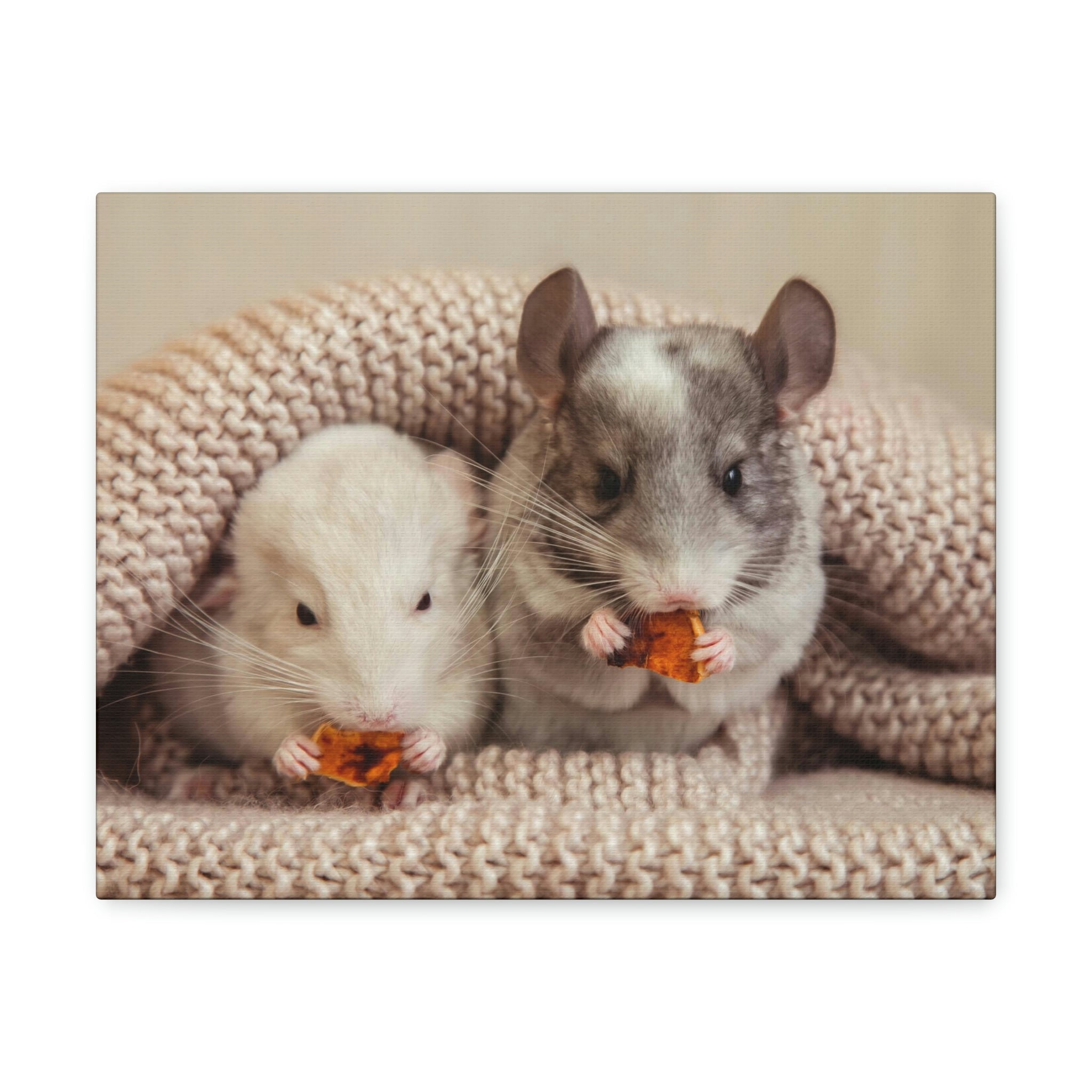 Chinchilla Couple Chinchilla Troop Print Animal Wall Art Wildlife ...