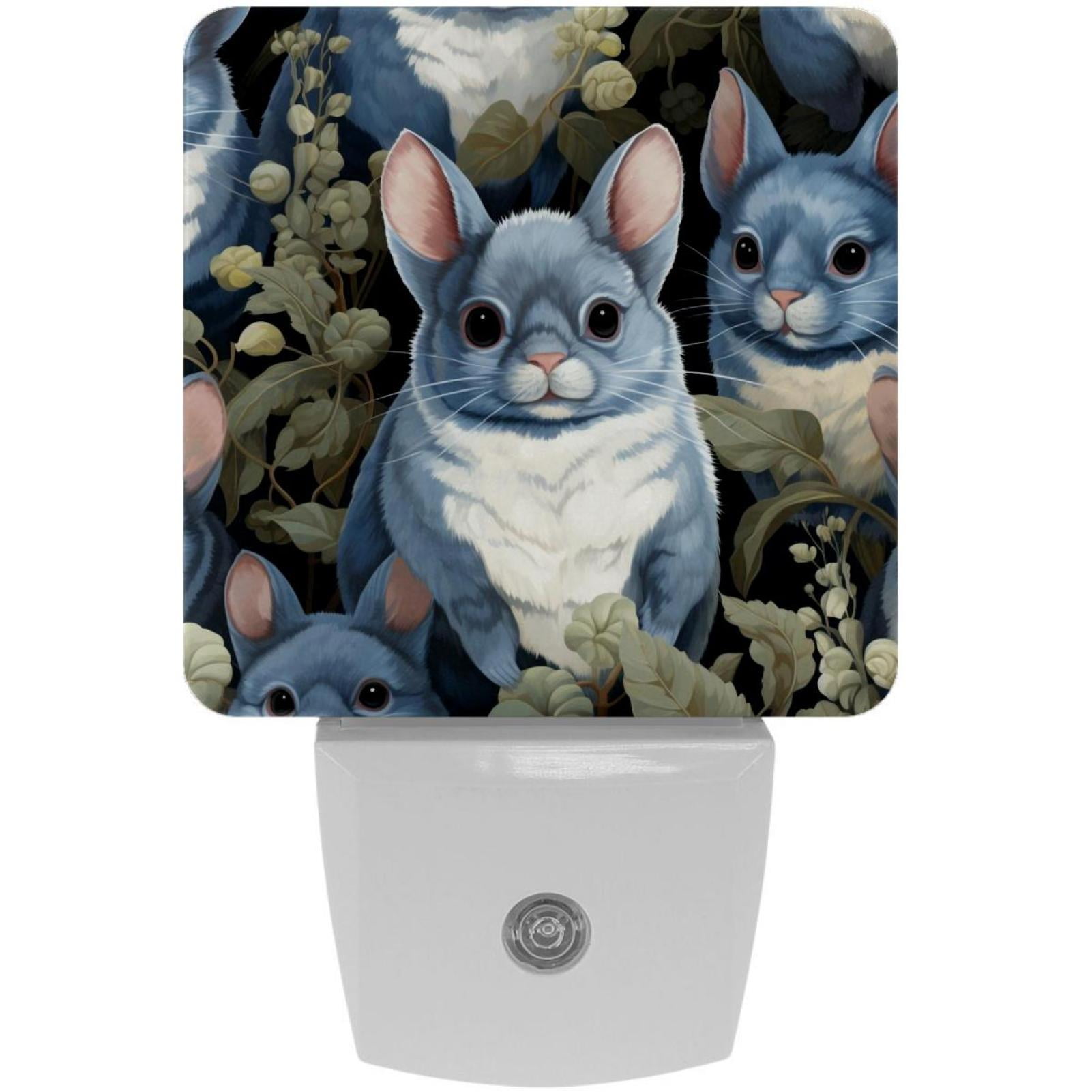 Chinchilla Enhance Your Space with LED Square Night Lights - Versatile ...