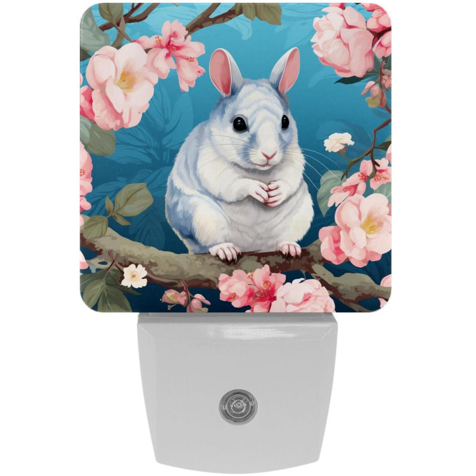 Chinchilla LED Square Night Light - Small and Bright Square-shaped LED ...