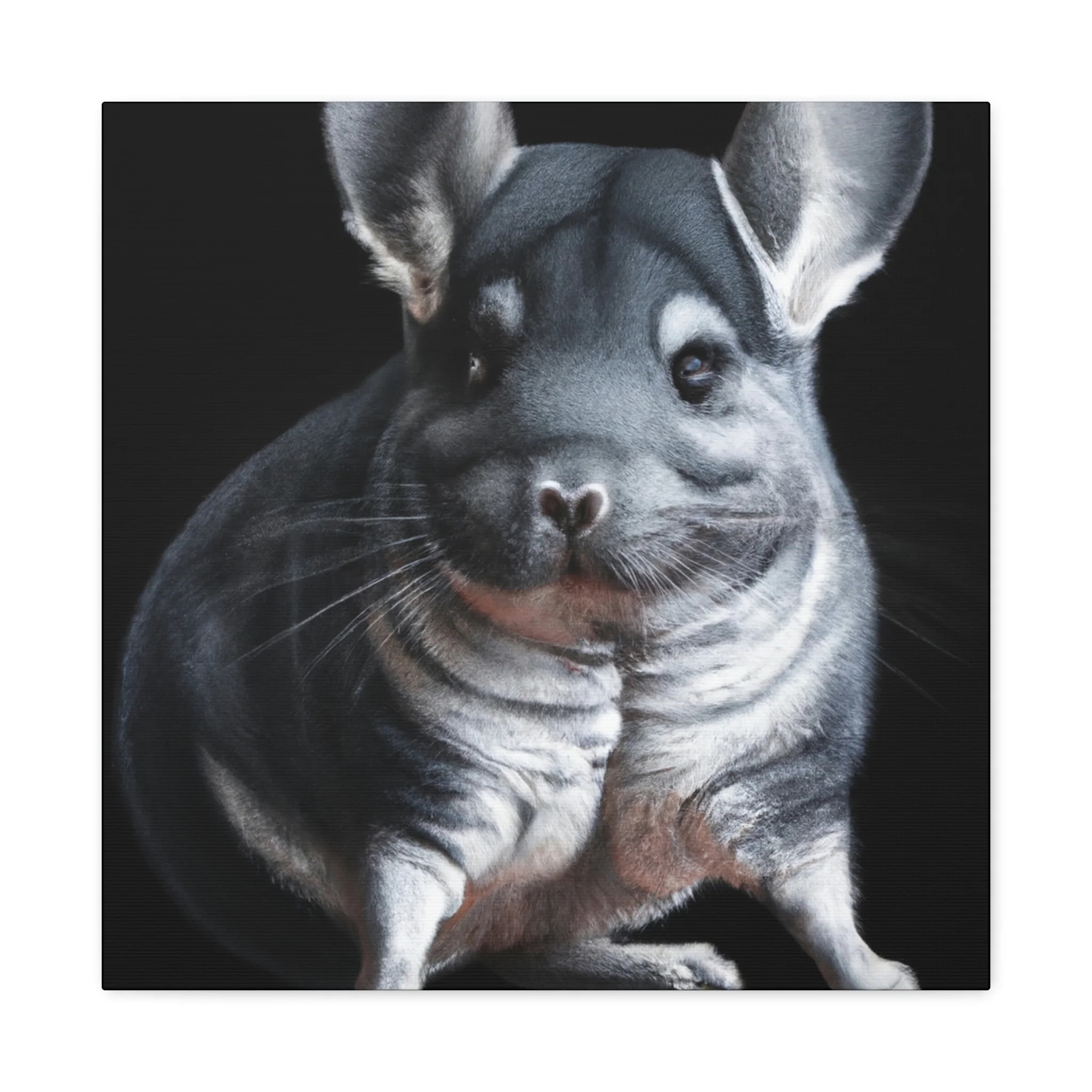 Chinchilla's Reflection Realism - Canvas - Walmart.com
