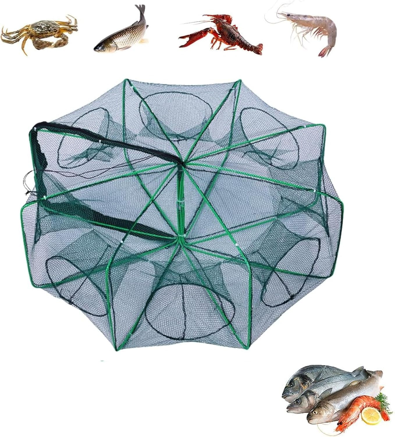 Chinchorro Plegable para Pesca, Chicharo Plegable para Pescar, The ...