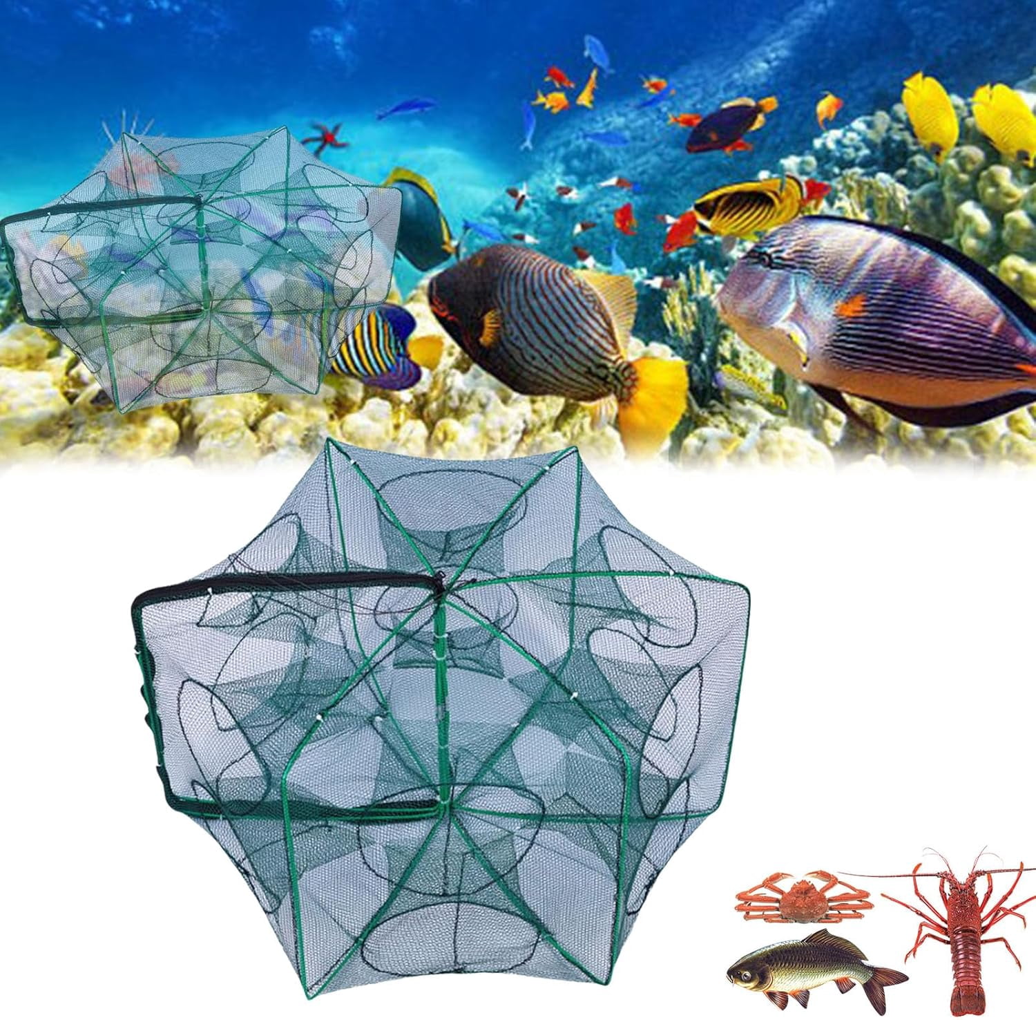 Chinchorro Plegable para Pesca, Folded Fishing Bait Trap, 6/8/10/12/16 ...