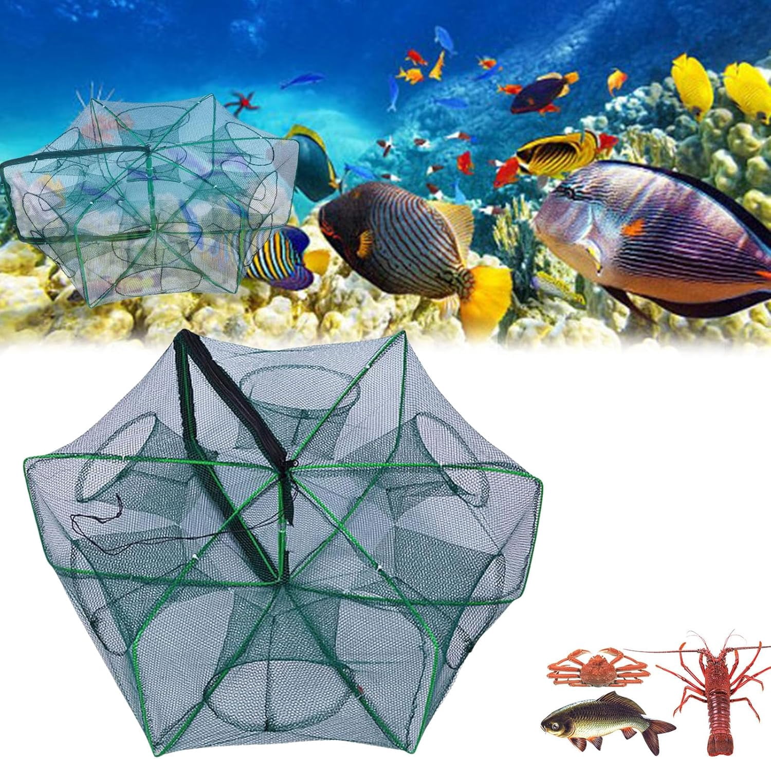 Chinchorro Plegable para Pesca, Folded Fishing Bait Trap, 6/8/10/12/16 ...