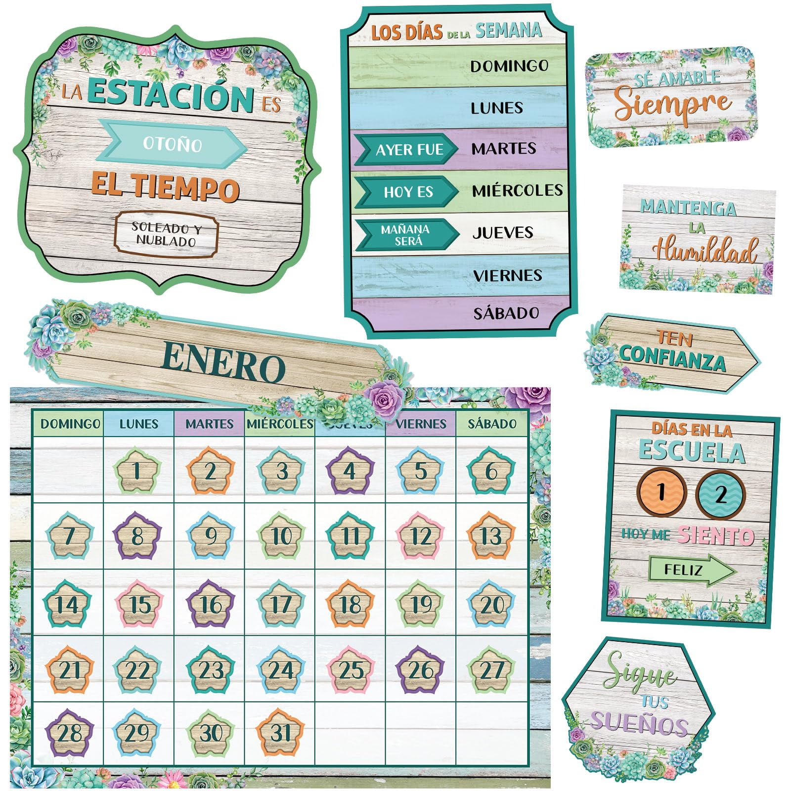 Chinco Classroom Calendar Bulletin Board Set Succulent Spanish Calendar ...