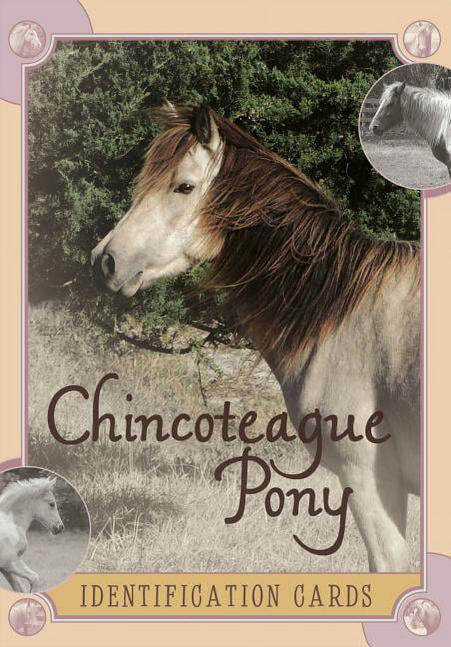 Chincoteague Pony Identification Cards, Set 2, (Paperback) - Walmart.com