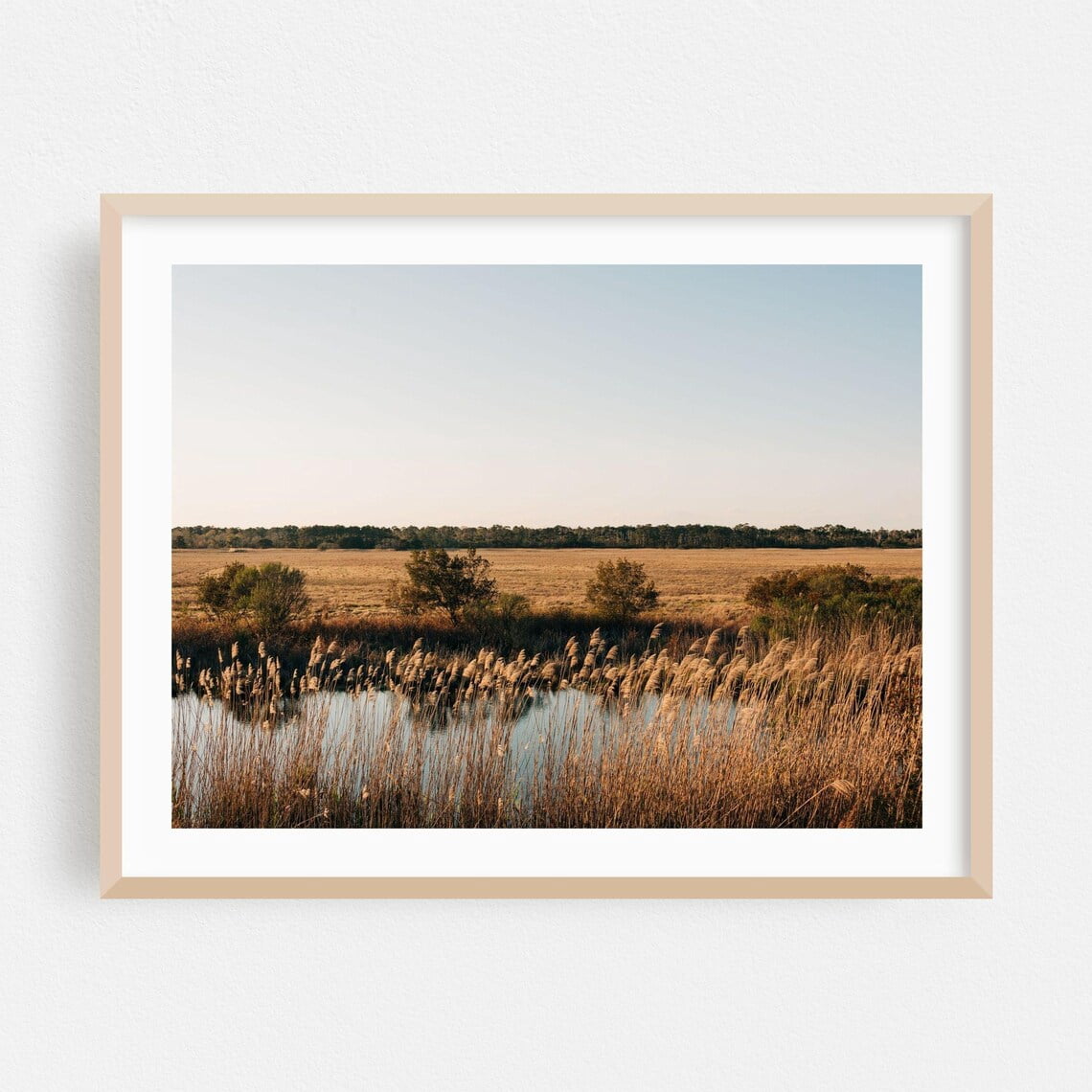 Chincoteague Virginia Landscape Nature Rural Scenic Fine Autumn ...