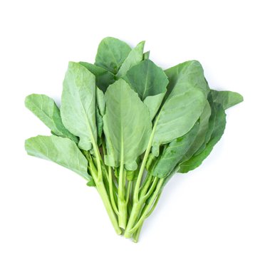 Chinese Cabbage Seeds - Yuki - Hybrid - 500 Mg Packet ~125 Seeds - Non ...