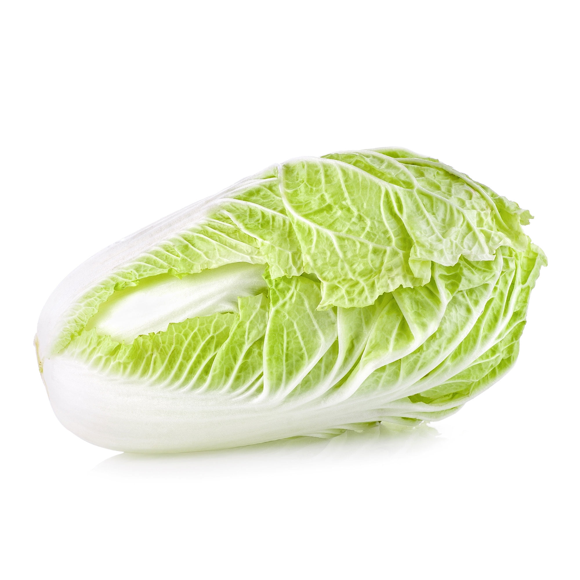 Chinese Cabbage Seeds - Aichi - 1 Oz ~9000 Seeds - Non-GMO, Heirloom ...