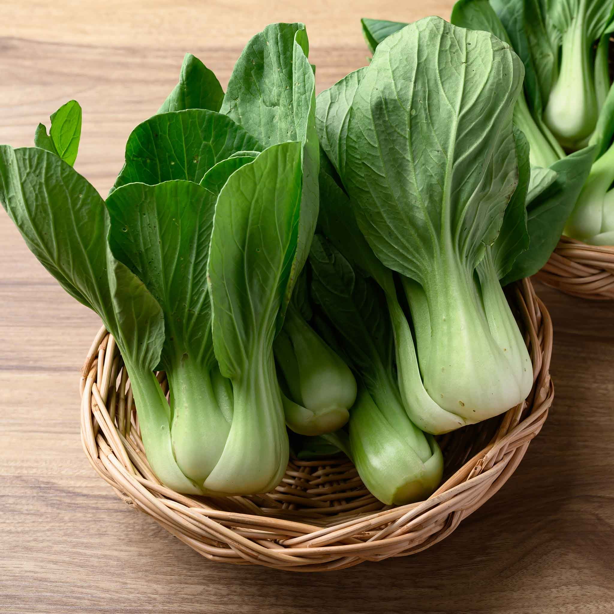 Eden Brothers Chinese Cabbage Seeds - Pak Choy White Stem - Walmart.com