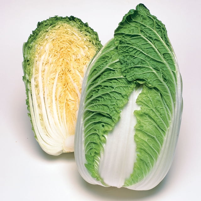 Chinese Cabbage Seeds - Spring Crisp - Hybrid - 500 Mg Packet ~207 ...