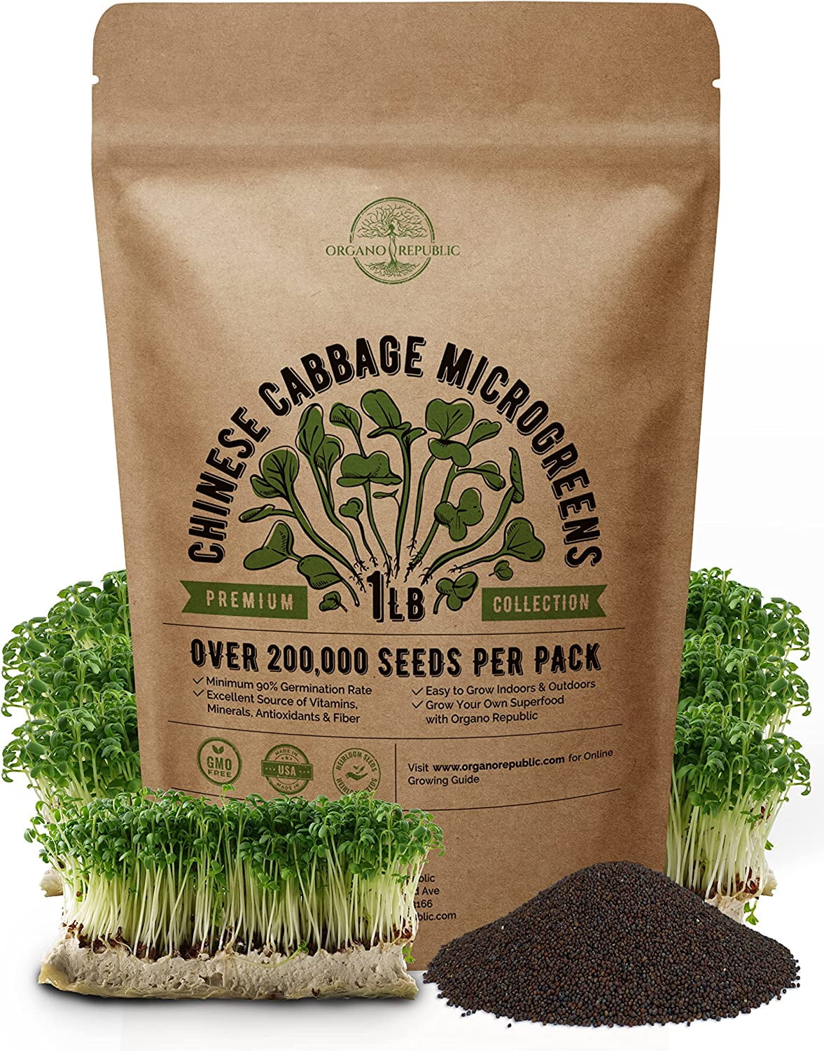 Rambo Purple Sprouting Radish Garden Seeds - 25 Lbs Bulk - Non-GMO ...