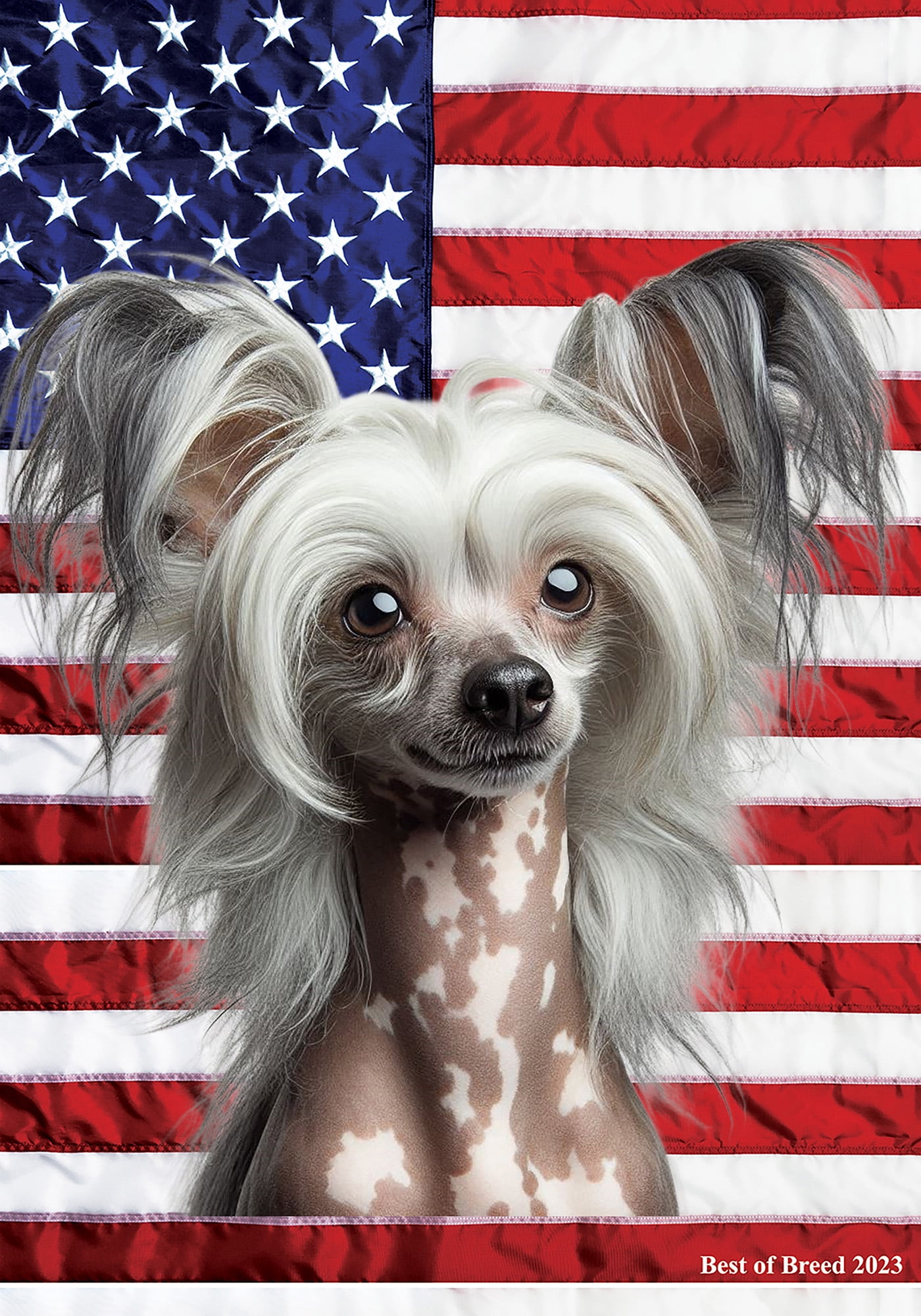Chinese Crested - Best of Breed All-American Patriotic III House Flags ...