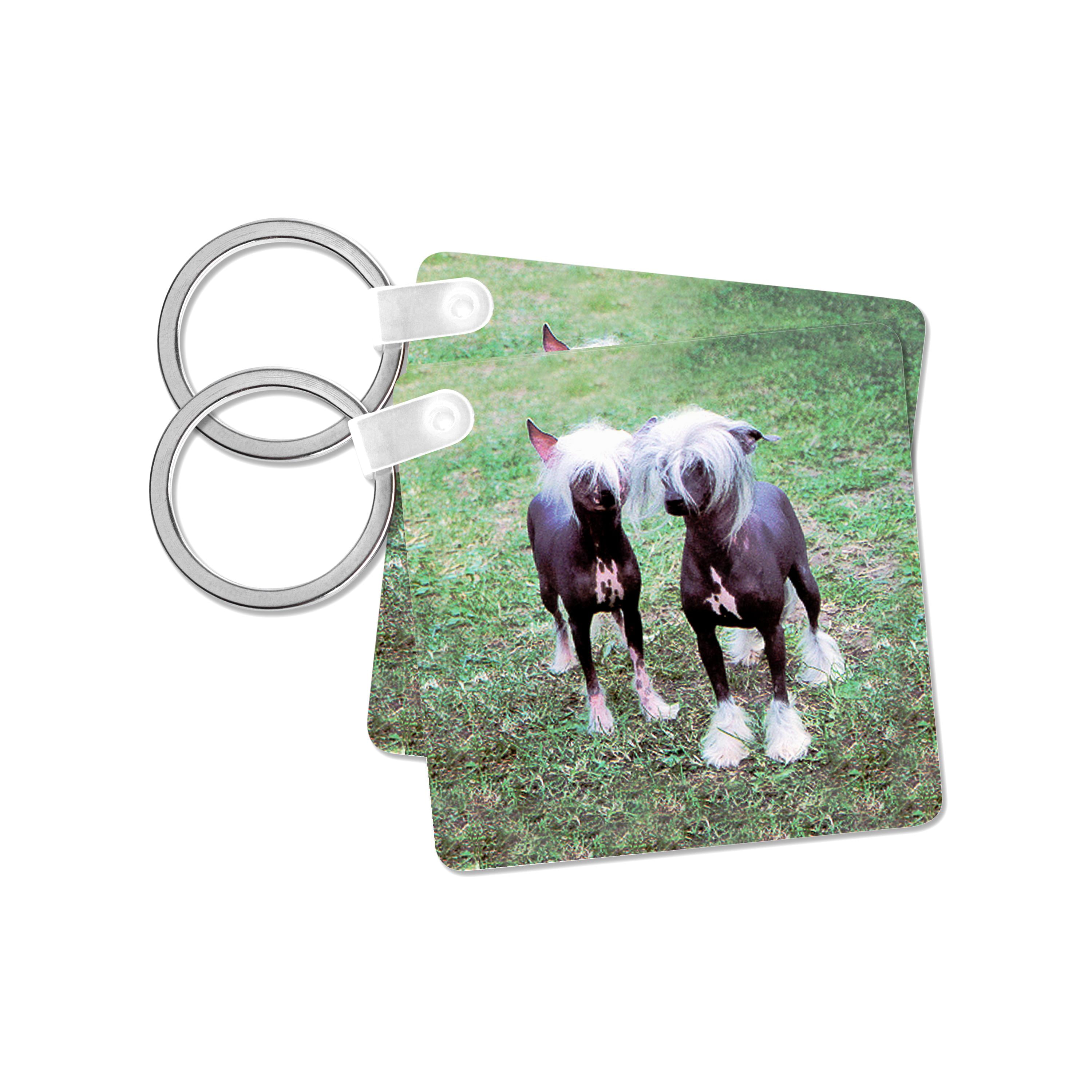 3dRose, Chinese Crested Hairless, set of 2 Key Chains - Walmart.com