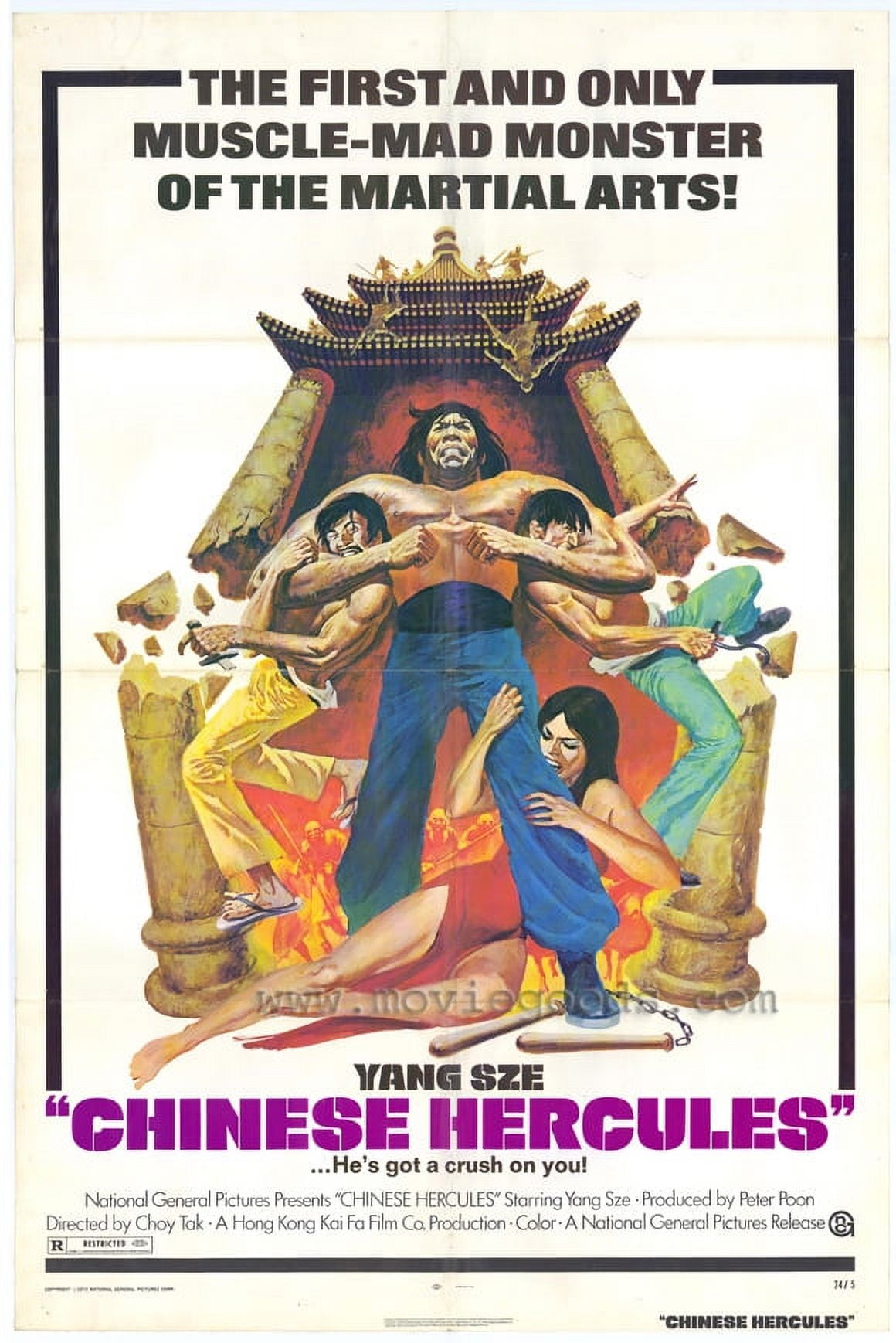Chinese Hercules - movie POSTER (Style A) (27" x 40") (1974) - Walmart.com