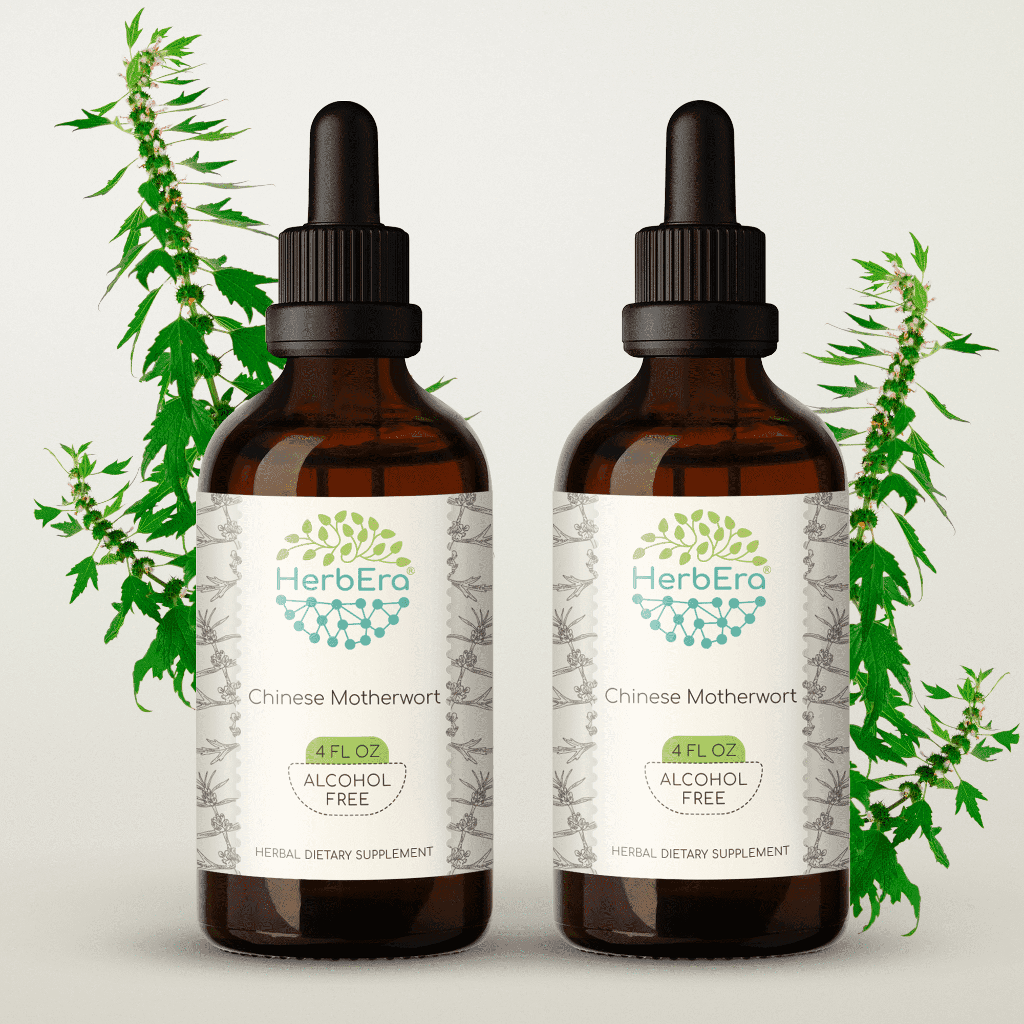 HerbEra Chinese Motherwort Tincture, Herbal Dietary Supplement for ...