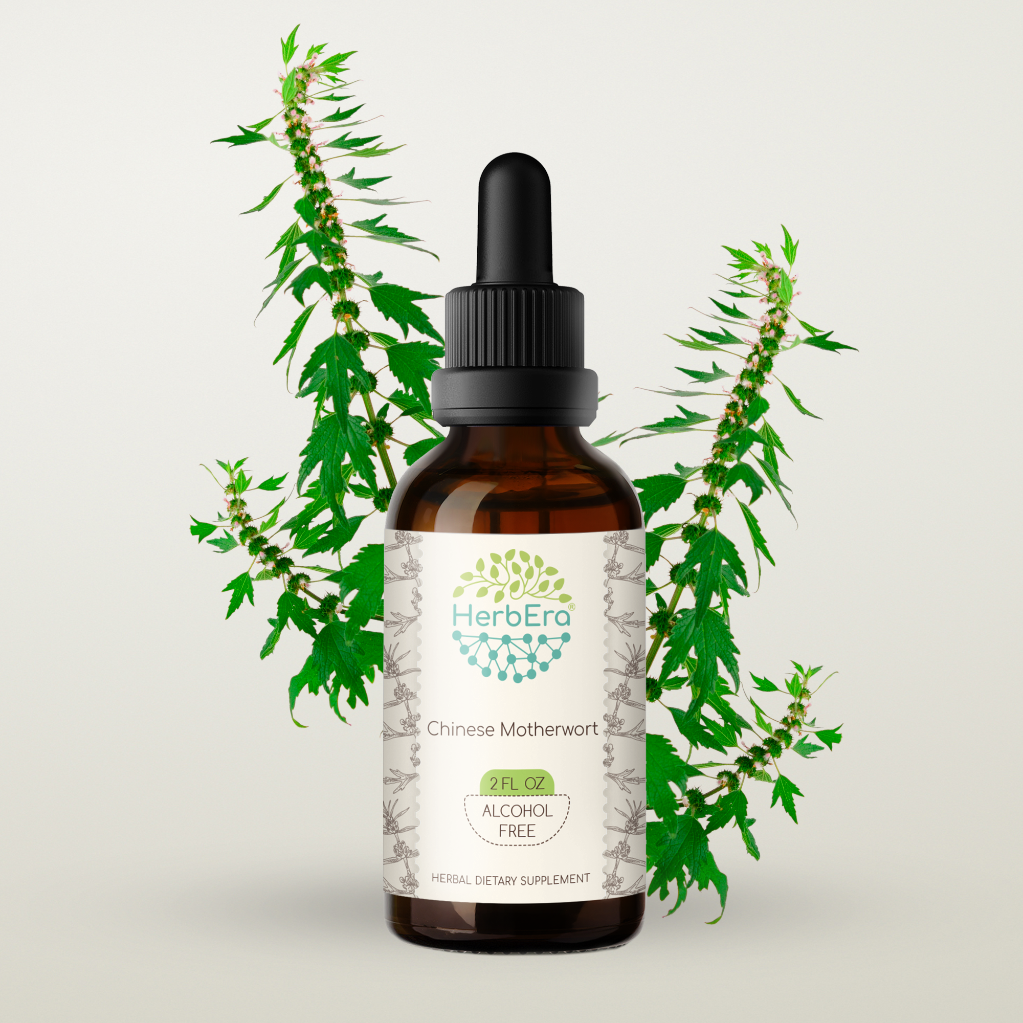 Chinese Motherwort Alcohol-FREE Herbal Extract Tincture, Super ...