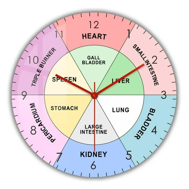 Chinese Organ TCM Body Clock Traditional Chinese Medicine Modern Design ...