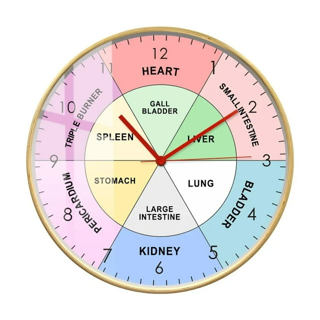 Chinese Organ TCM Body Clock Traditional Chinese Medicine Modern Design ...