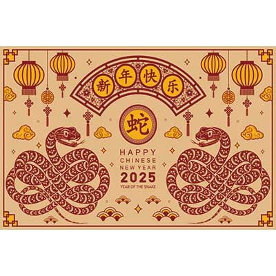 Chinese Spring Festival Background Photography Banner Year Of The Snake ...